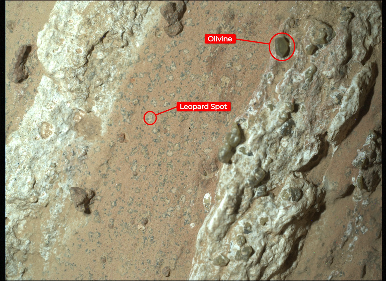 NASA’s Perseverance Rover Scientists Find Intriguing Mars Rock | NASA ...
