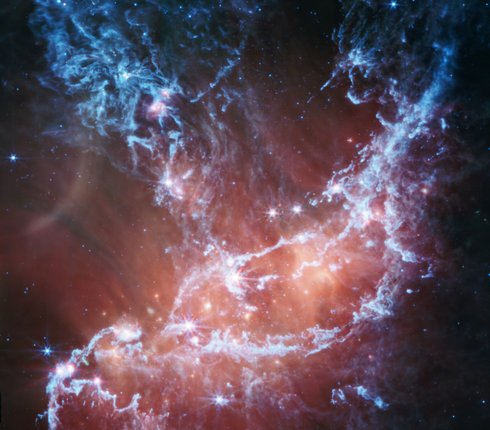Star Formation in the Heart of the Swan