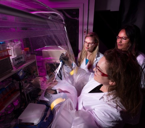 NASA's MISR Captures 3D Image of Smoke from California's Woolsey Fire