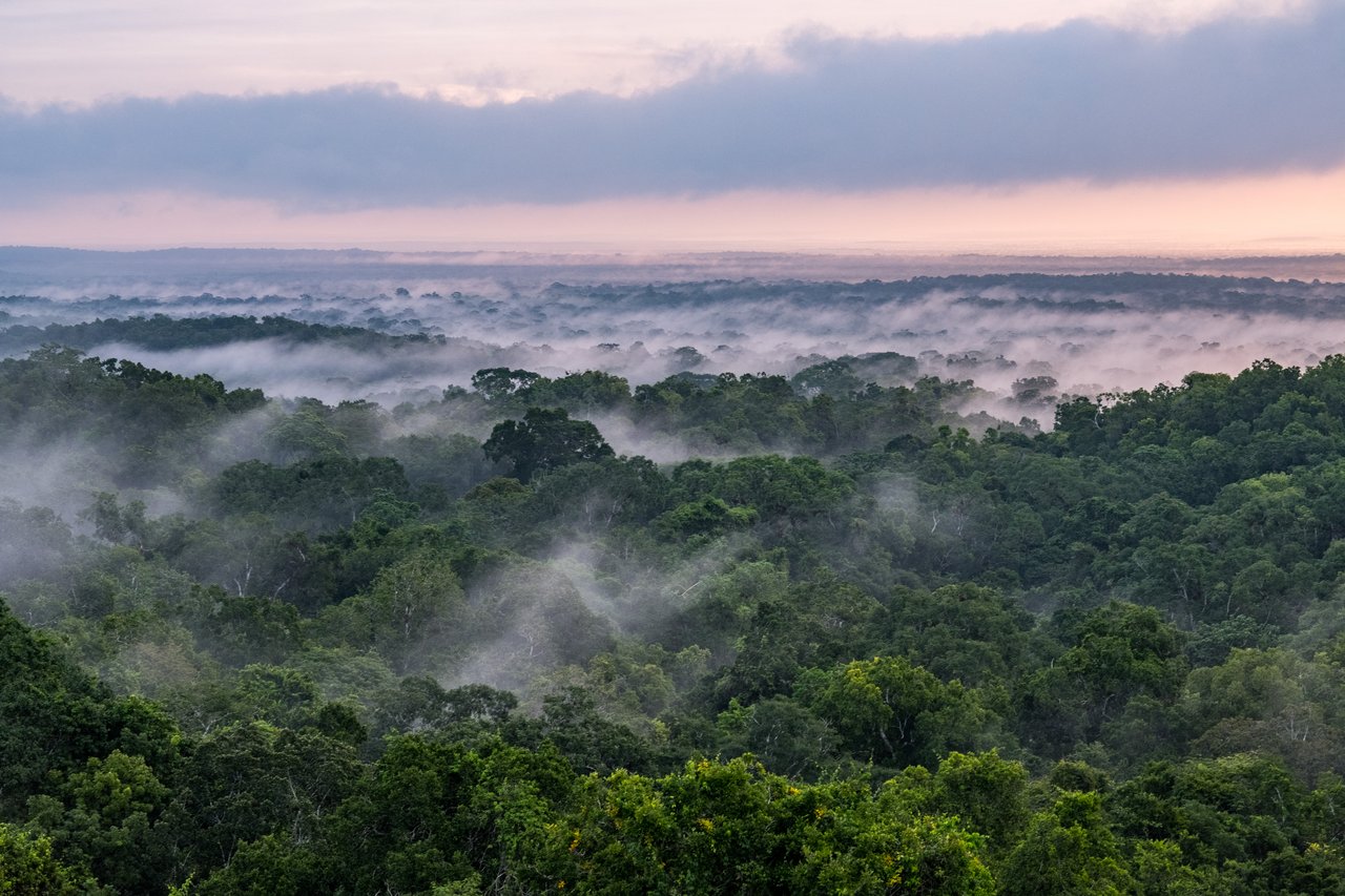 NASA-ISRO Radar Mission to Provide Dynamic View of Forests, Wetlands ...