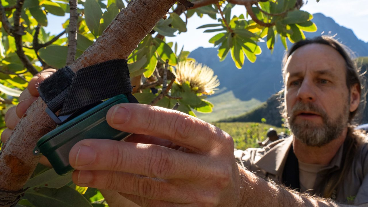 NASA Helps Study One of the World’s Most Diverse Ecosystems | NASA Jet ...