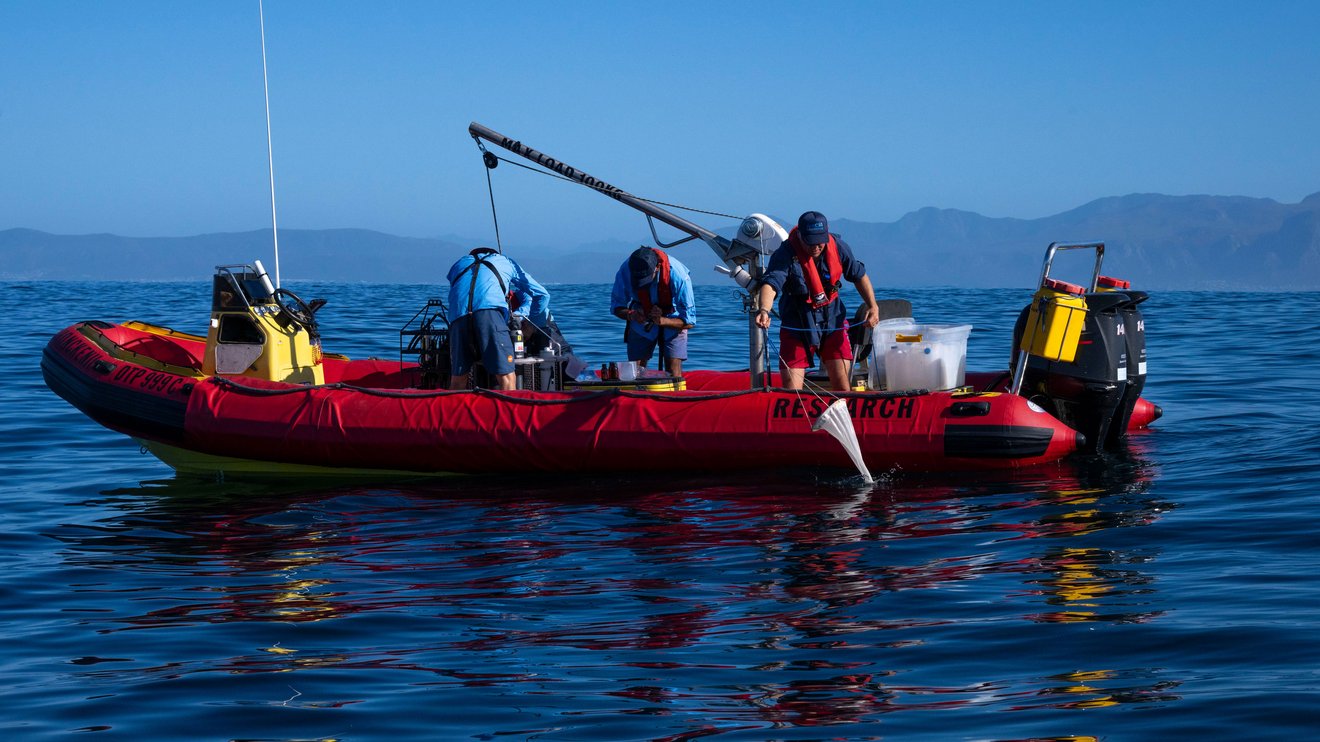 NASA Helps Study One of the World’s Most Diverse Ecosystems | NASA Jet ...