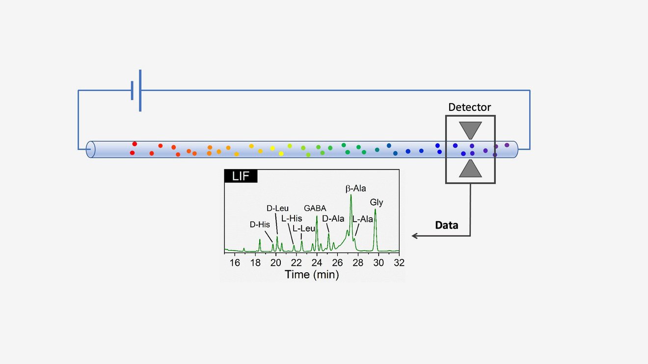 Organic Capillary Electrophoresis Analysis System