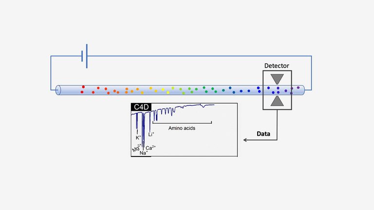 Organic Capillary Electrophoresis Analysis System