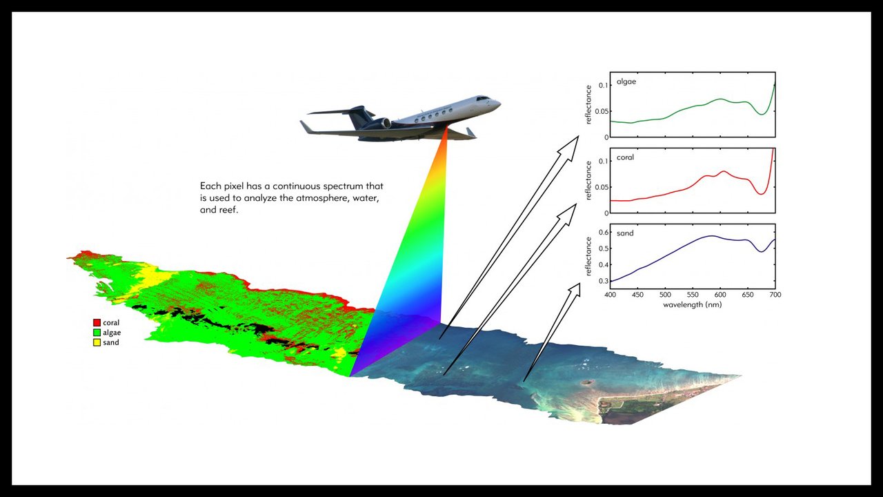 Coral Calculus: A 'Pi in the Sky' Math Challenge – Math Lesson | NASA ...