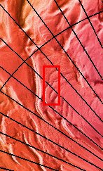 Polar Texture | NASA Jet Propulsion Laboratory (JPL)