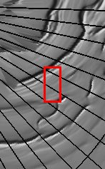 North Polar Cap | NASA Jet Propulsion Laboratory (JPL)