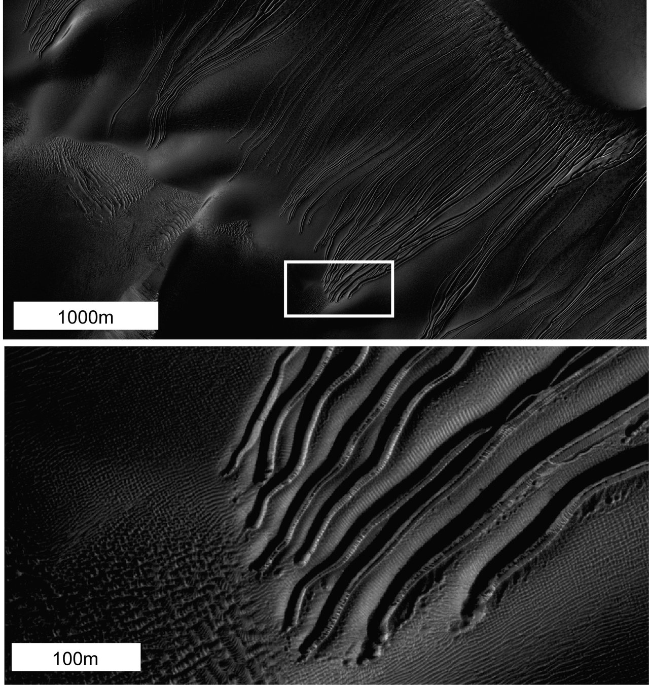 Linear Gullies Inside Russell Crater, Mars | NASA Jet Propulsion ...