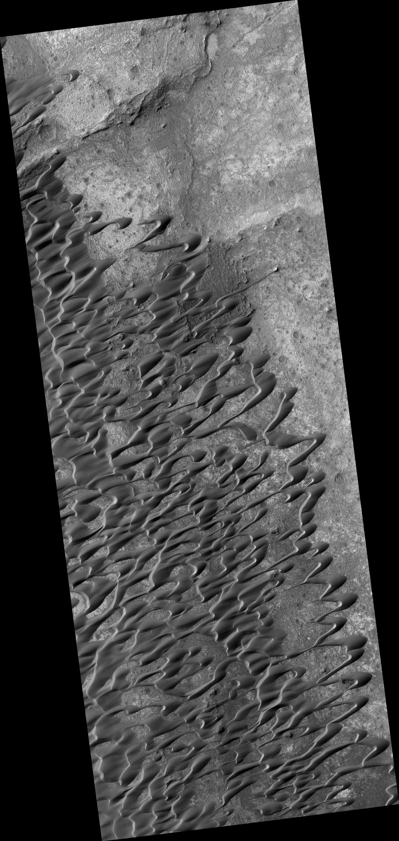 The Active Dunes of Nili Patera | NASA Jet Propulsion Laboratory (JPL)