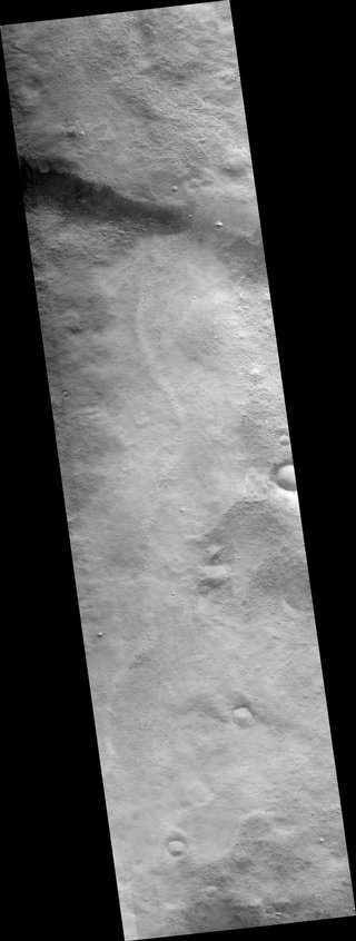 Spider Webs | NASA Jet Propulsion Laboratory (JPL)