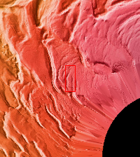 More Polar Textures | NASA Jet Propulsion Laboratory (JPL)