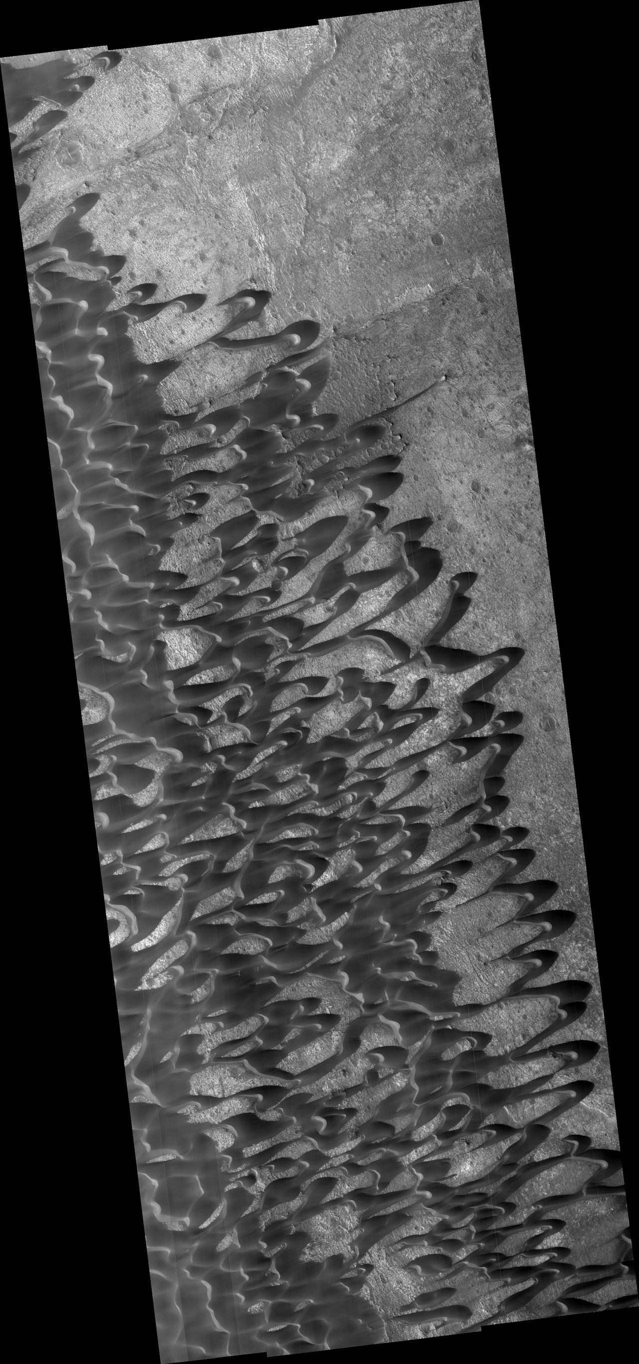 A Dune Field Near Nili Patera | NASA Jet Propulsion Laboratory (JPL)