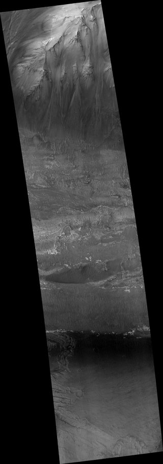 In the Gullies and Bedrock of Ius Chasma