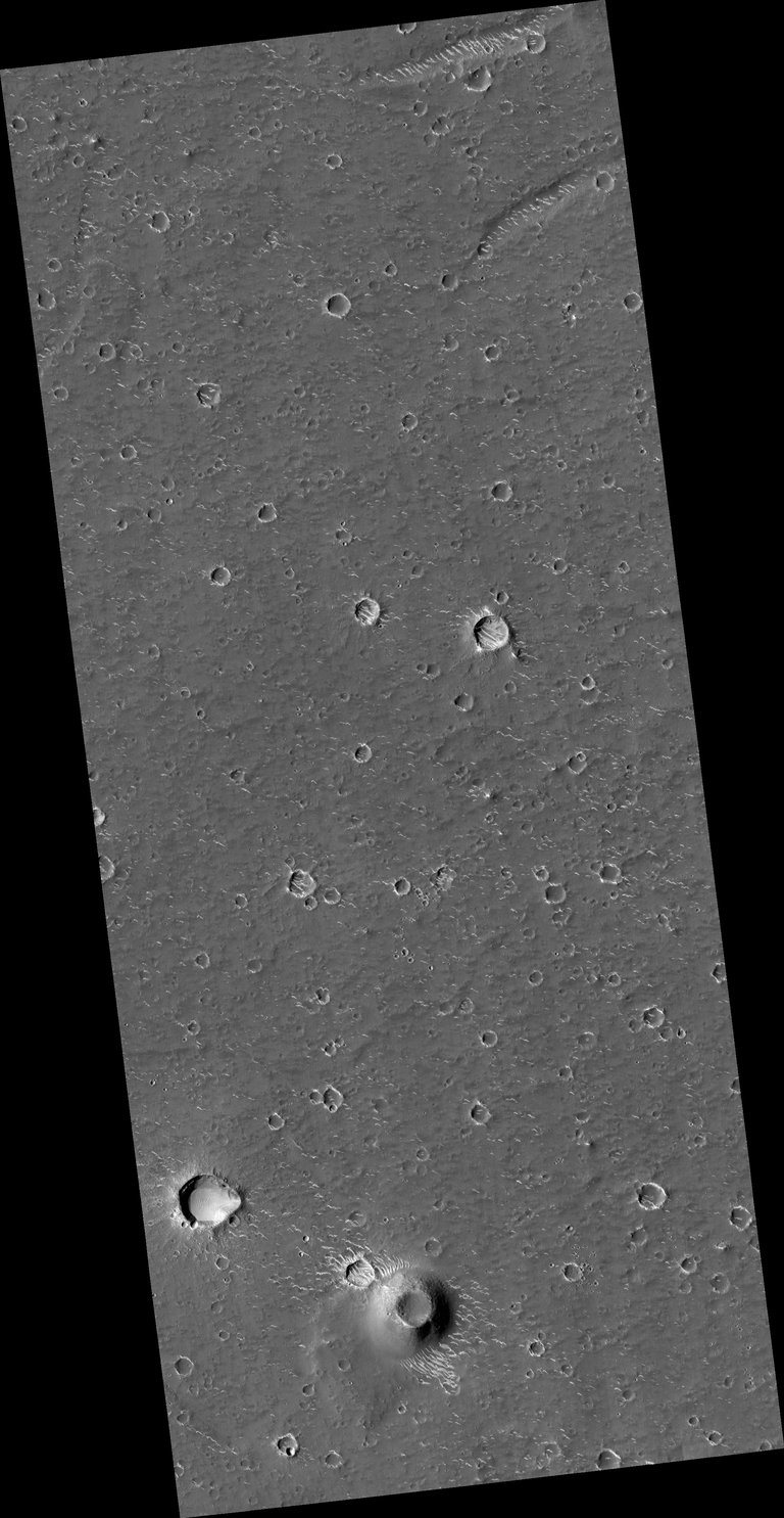 The Zhurong Rover Explores Utopia Planitia | NASA Jet Propulsion ...