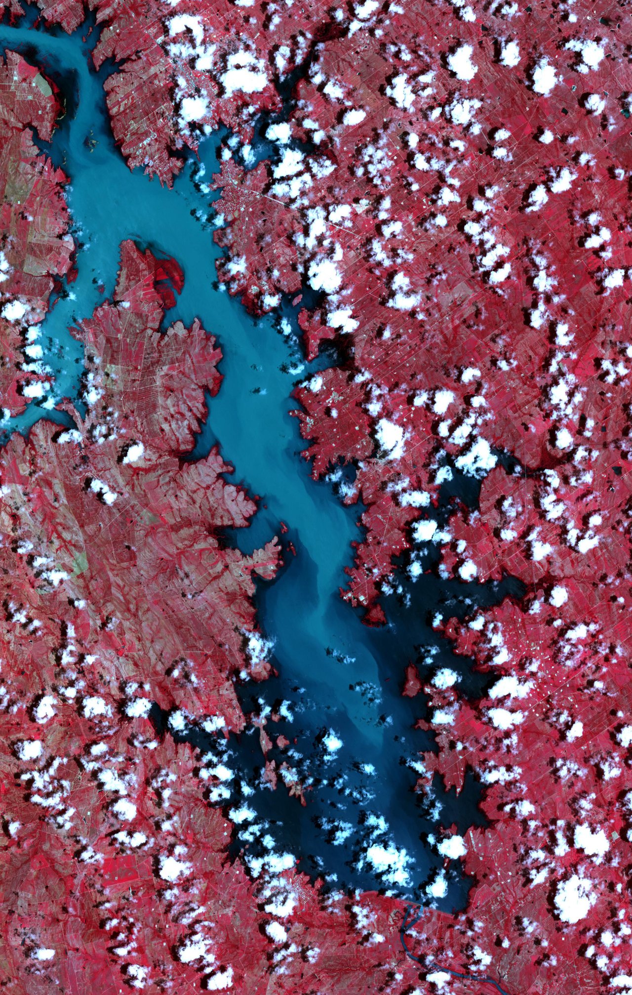 Falcon International Reservoir, US-Mexico - 2022 | NASA Jet Propulsion ...