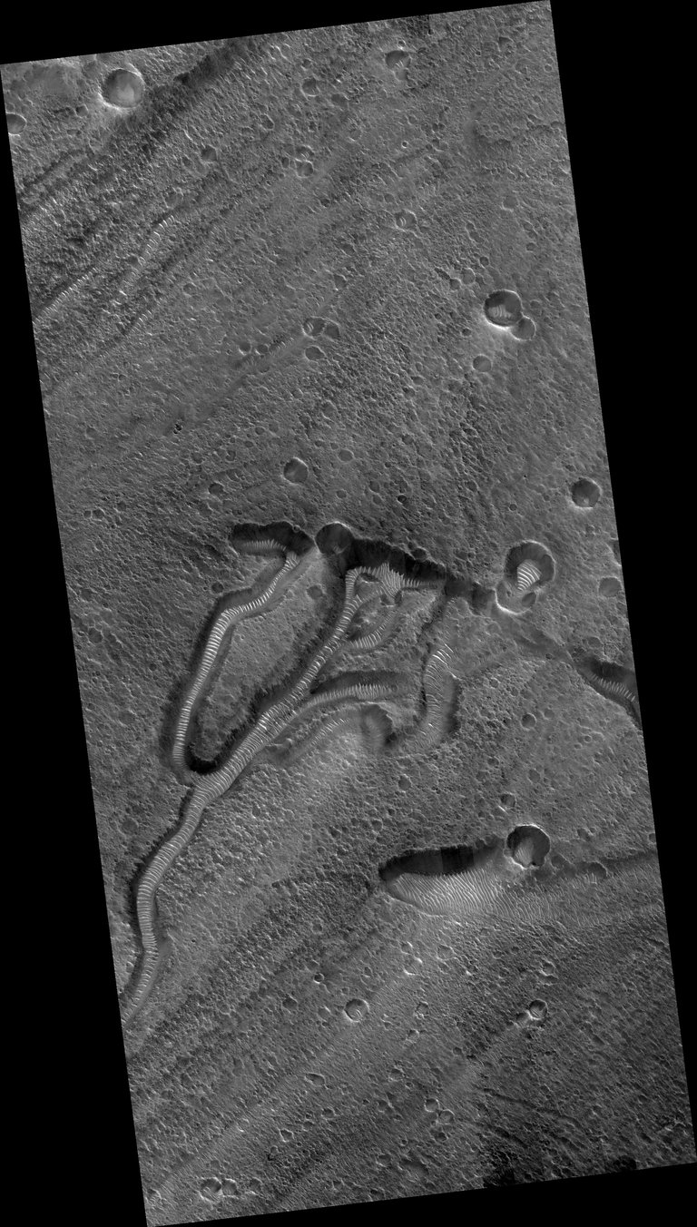 Channels on a Streamlined Island of Kasei Vallis | NASA Jet Propulsion ...