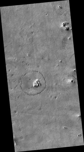 A Bear on Mars? | NASA Jet Propulsion Laboratory (JPL)