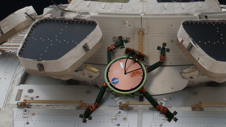 Design a Robotic Insect – Science Project | NASA JPL Education