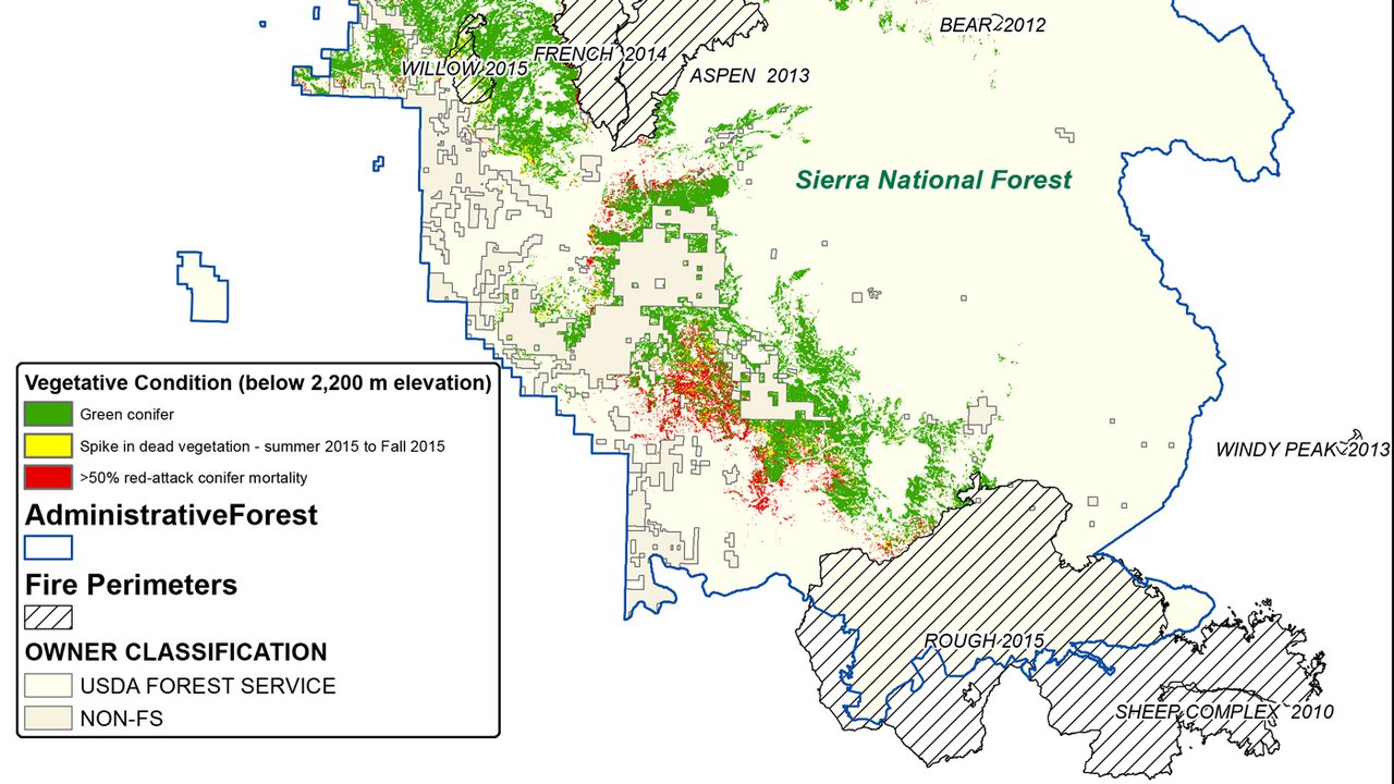 NASA Maps California Drought Effects on Sierra Trees | NASA Jet Propulsion Laboratory (JPL)