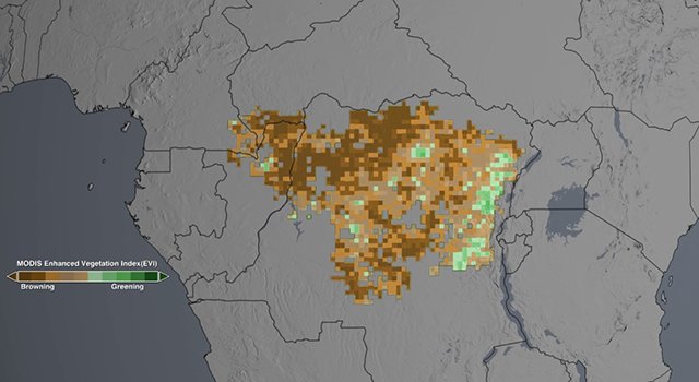 NASA Finds Drought May Take Toll on Congo Rainforest