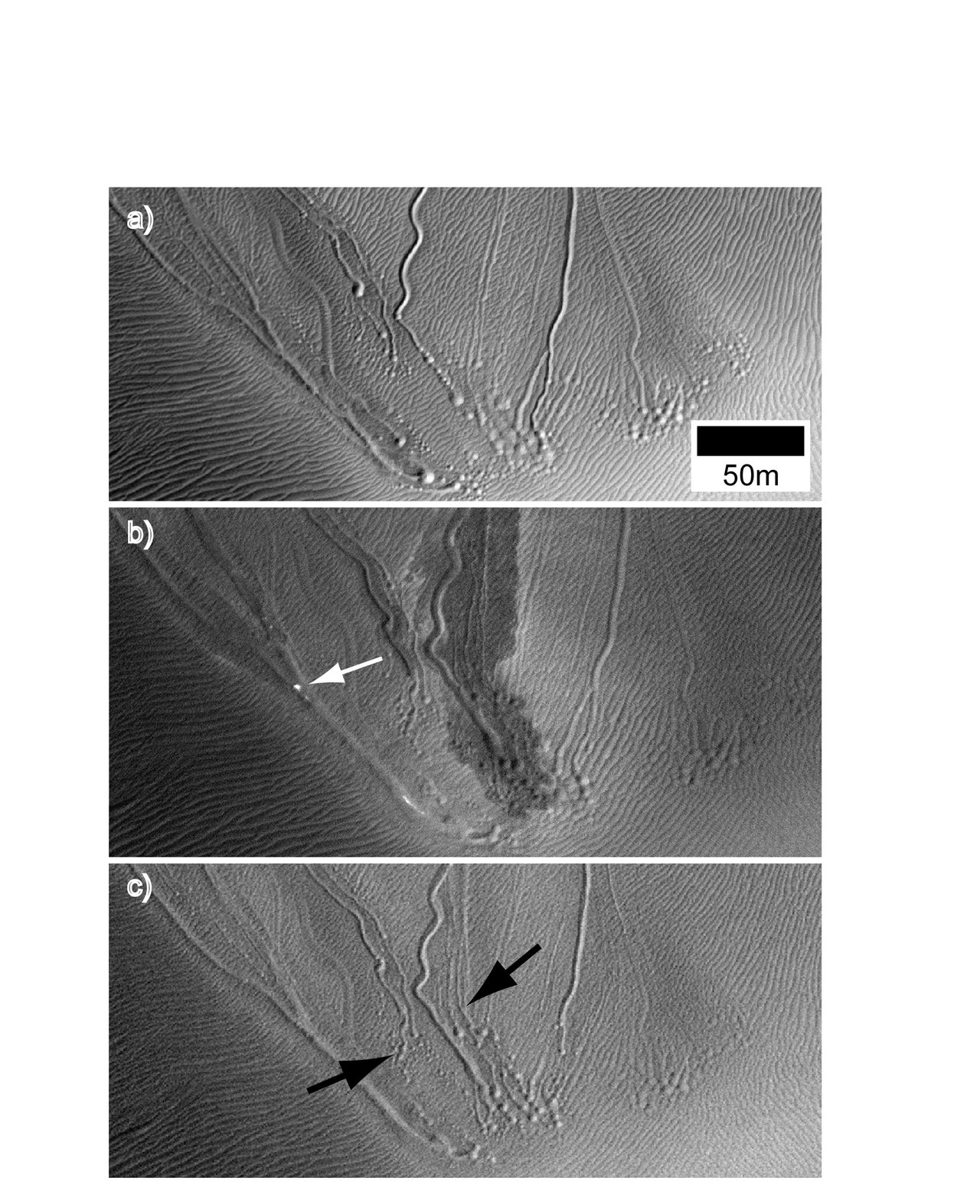 Marks on Martian Dunes May Be Tracks of Dry-Ice Sleds