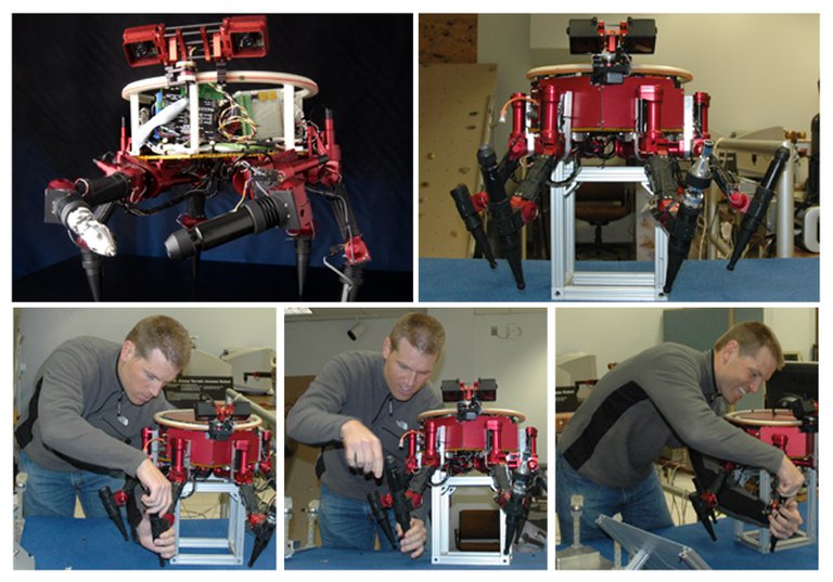 Limber Robot Might Hitchhike to Space