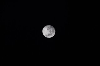 NASA Selects New Science Investigations for Future Moon Deliveries ...
