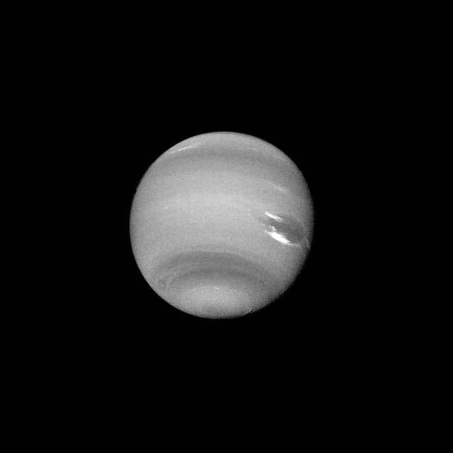 Neptune - Dark Feature