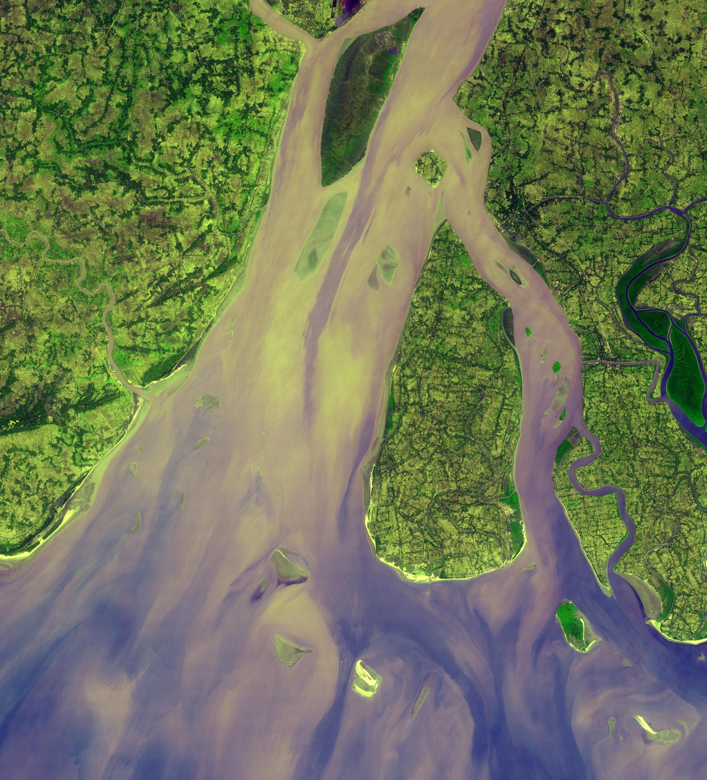 Hugli River Delta, India | NASA Jet Propulsion Laboratory (JPL)