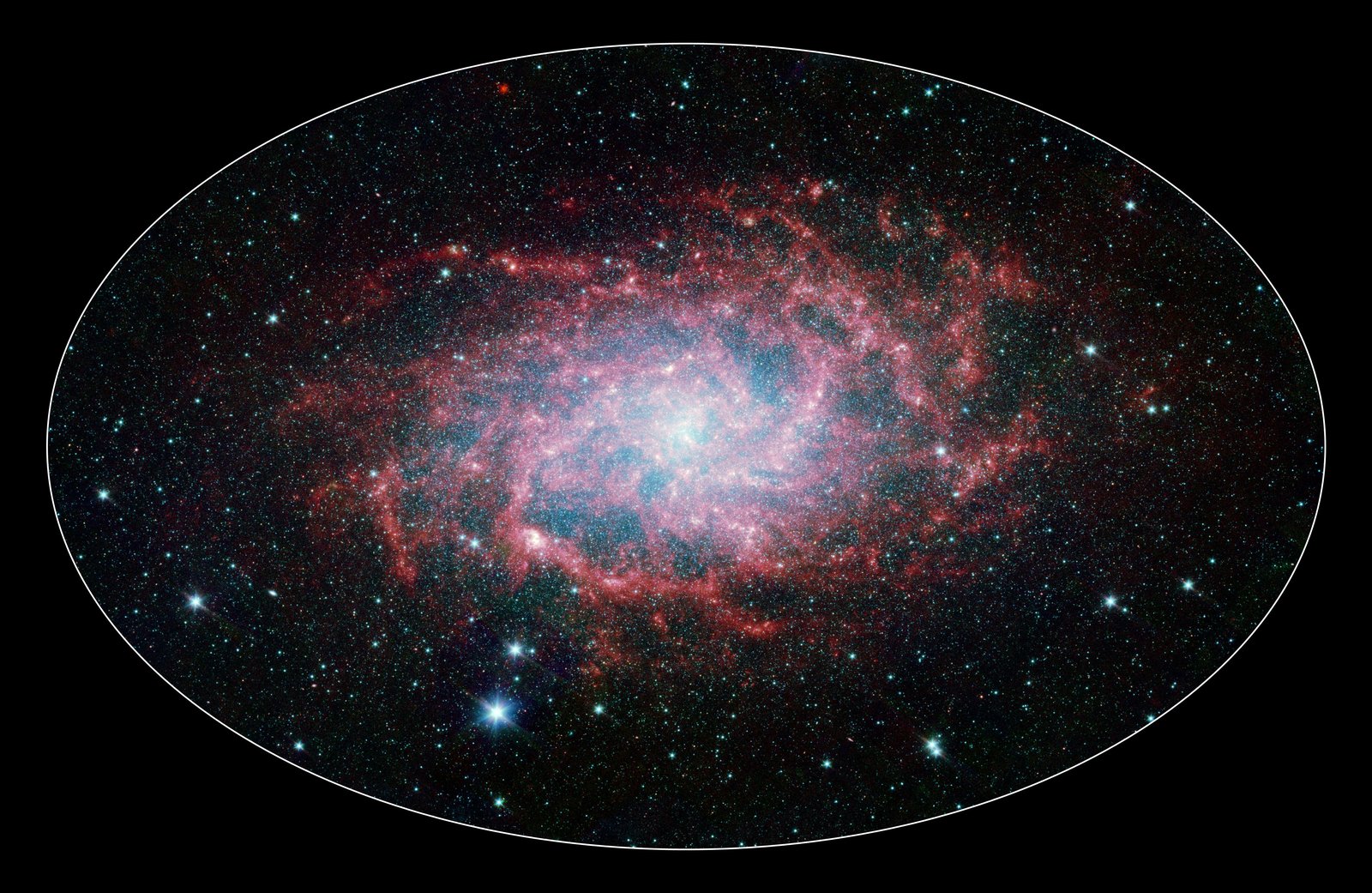 M33: A Close Neighbor Reveals its True Size and Splendor