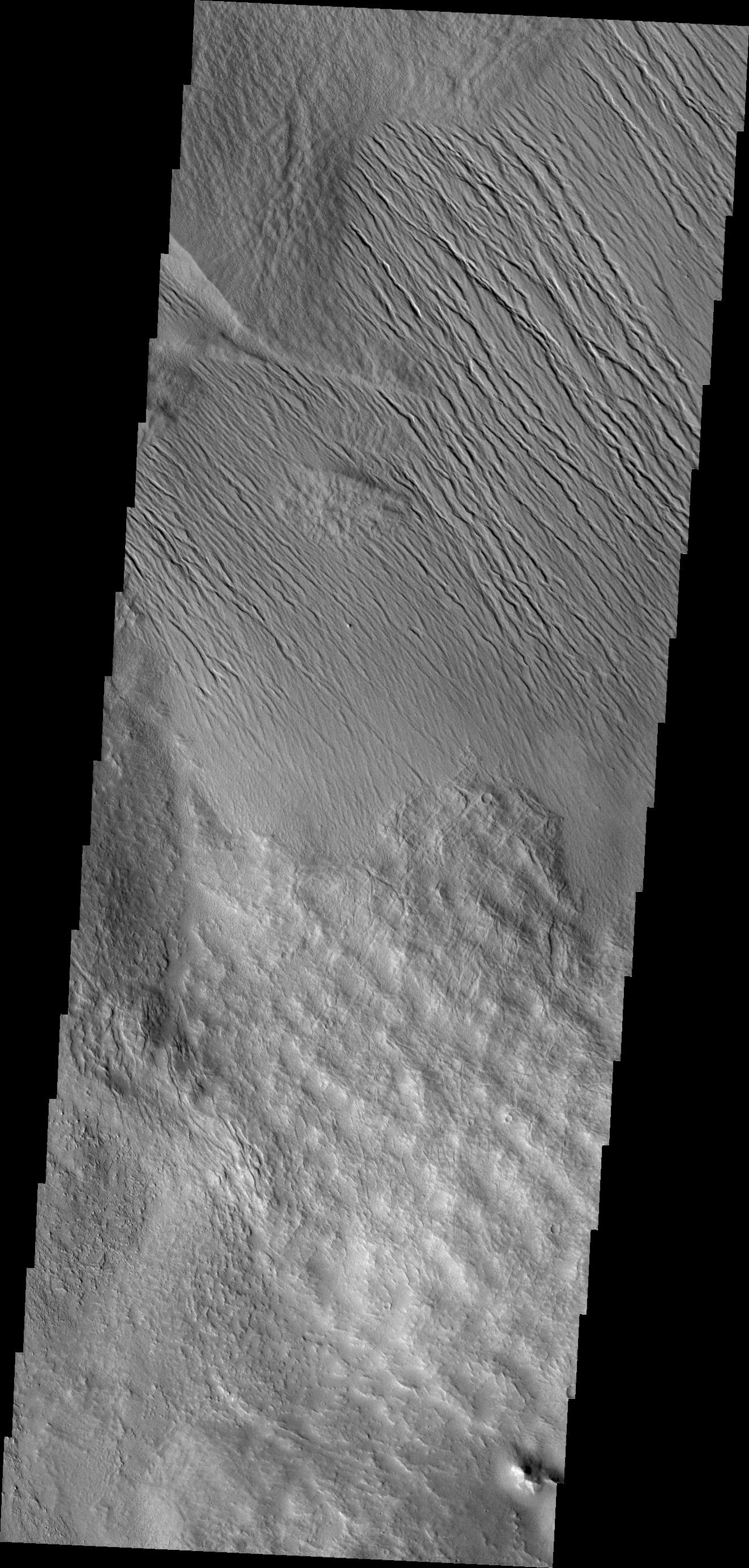 Tharsis Features