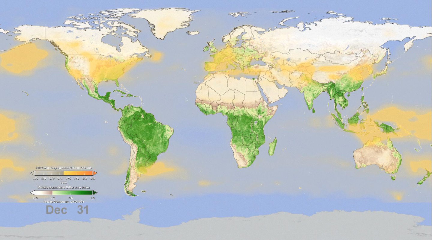 Effect of Seasonal Vegetation Cycle on Global Atmospheric Carbon ...