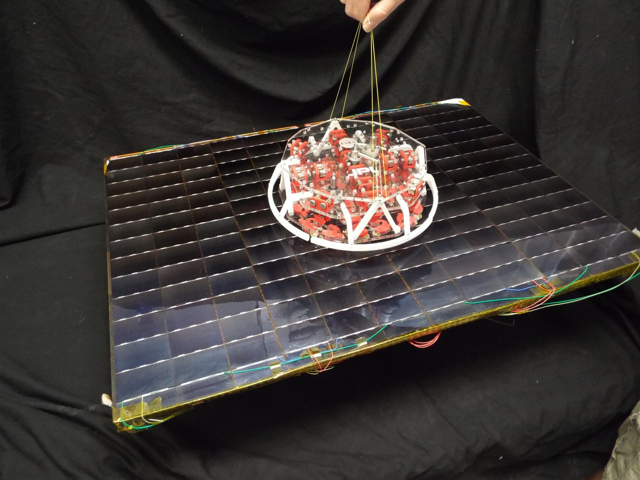 Gecko Adhesives | NASA Jet Propulsion Laboratory (JPL)