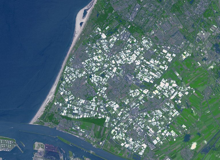 Westland, The Netherlands Westland, The Netherlands