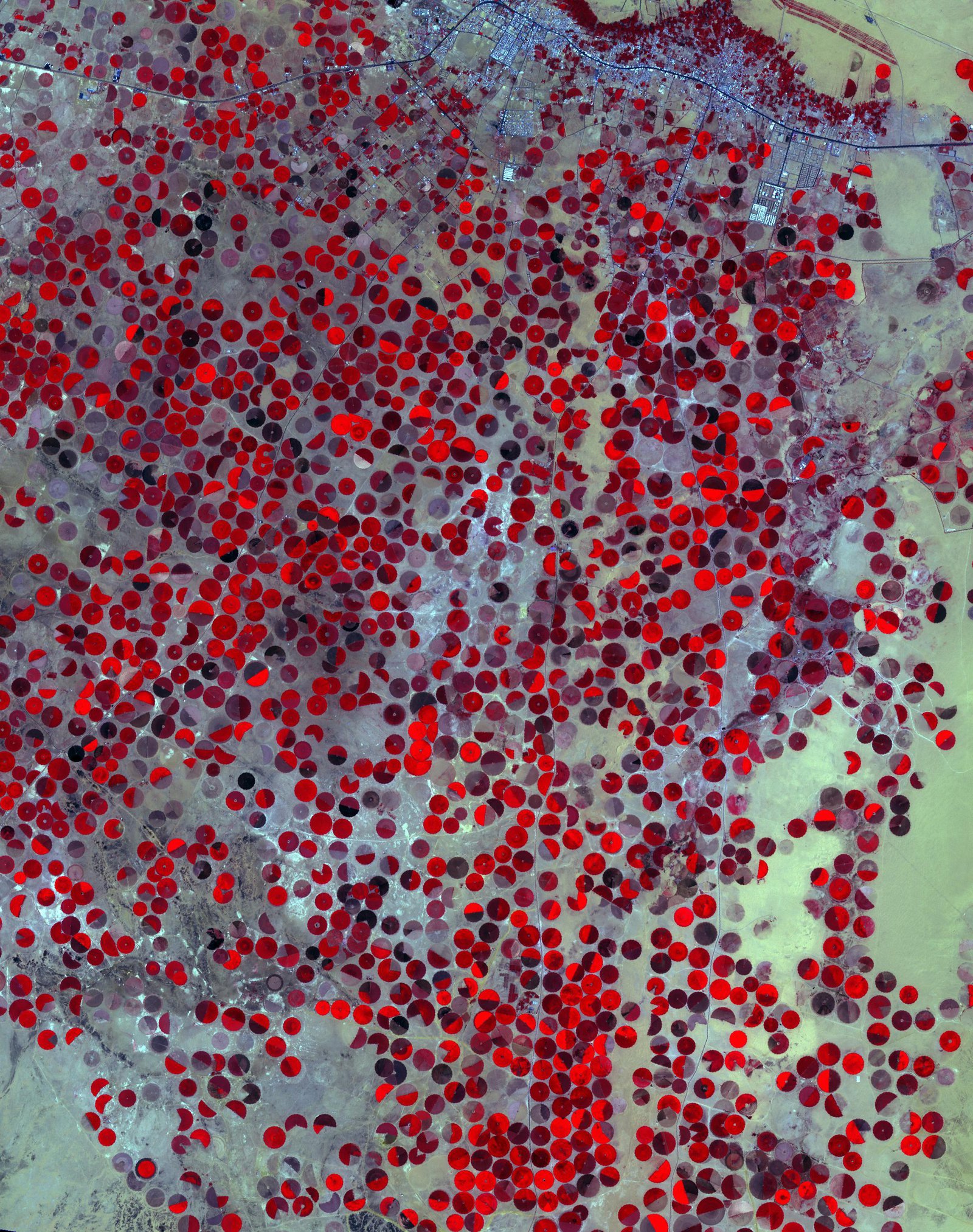 Wadi Al Dawasir, Saudi Arabia | NASA Jet Propulsion Laboratory (JPL)
