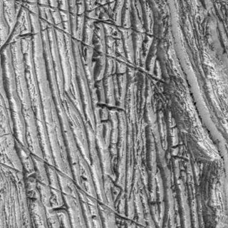 Icy Moonquakes: Surface Shaking Could Trigger Landslides