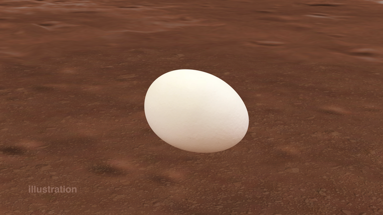 Planetary (Egg) Wobble and Newton’s First Law – Science Lesson | NASA ...