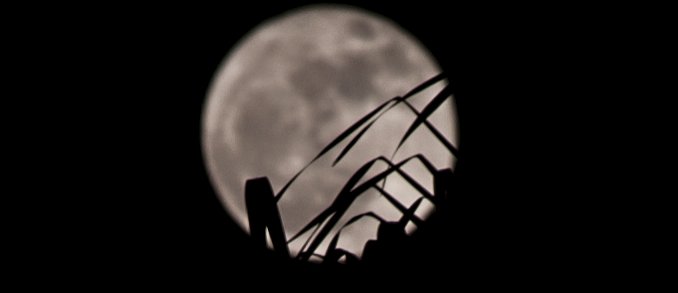 Look at the Moon! Journaling Project – Science Project | NASA JPL Education