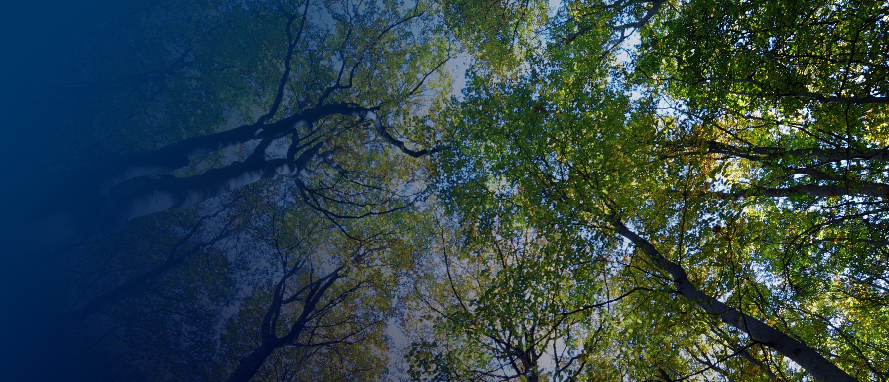 Ecosystems | NASA Jet Propulsion Laboratory (JPL)