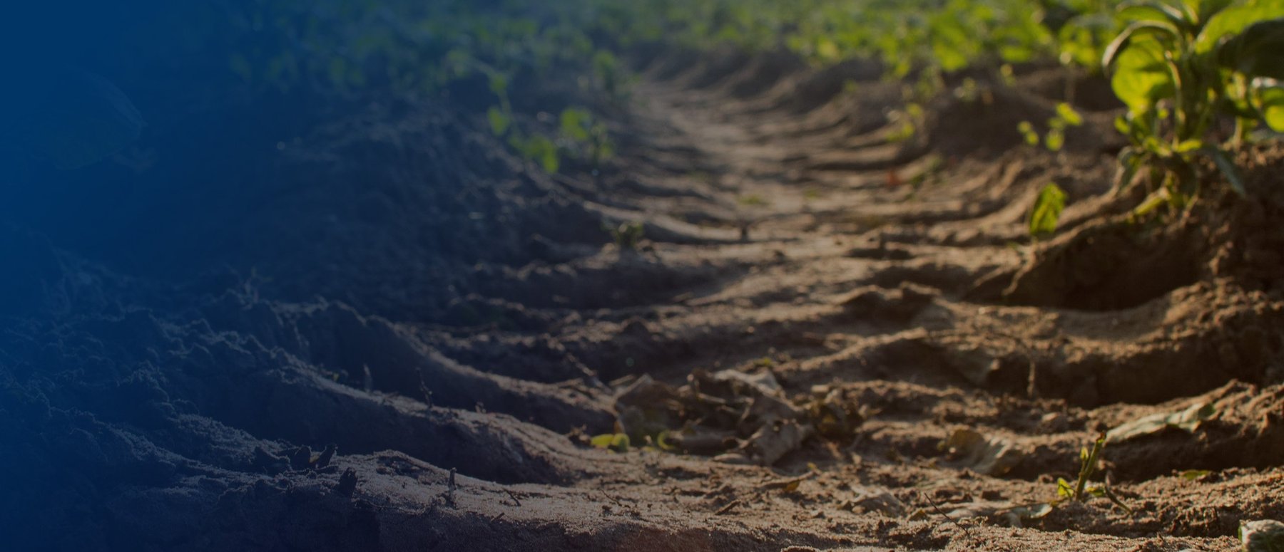 Soil Moisture | NASA Jet Propulsion Laboratory (JPL)