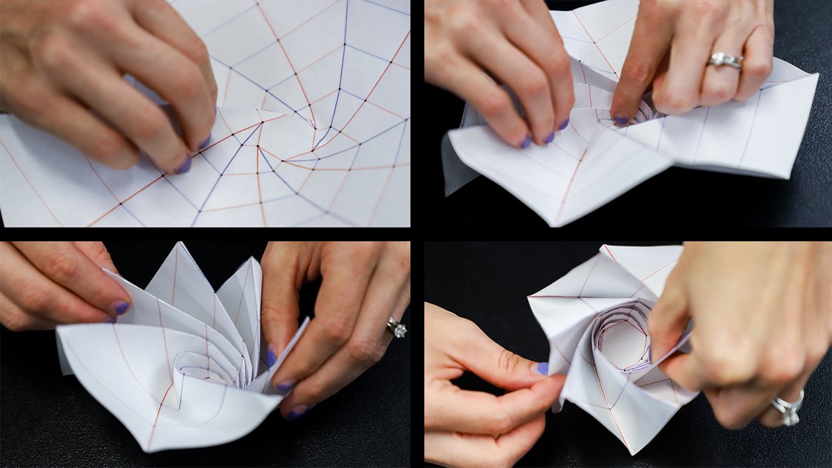 Space Origami: Make Your Own Starshade – Engineering Project | NASA JPL ...