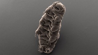 Design an Alien – Science Lesson | NASA JPL Education