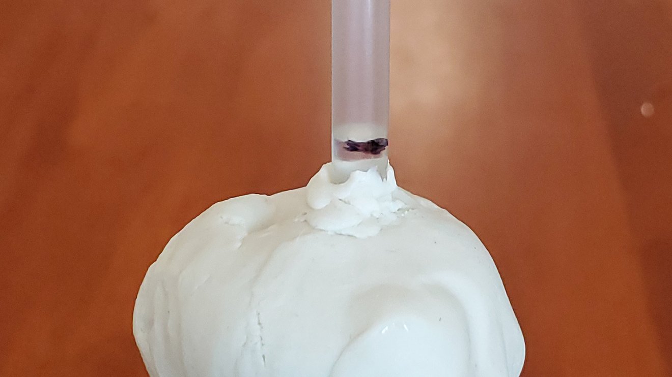 How Warming Water Causes Sea Level Rise – Science Project | NASA JPL ...