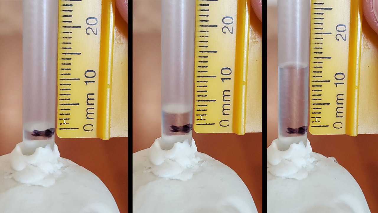 How Warming Water Causes Sea Level Rise – Science Project | NASA JPL ...