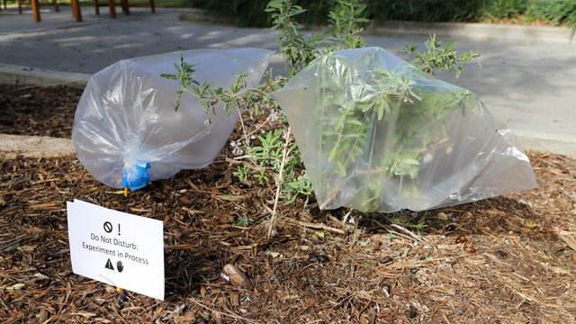Transpiration Demo | NASA Jet Propulsion Laboratory (JPL)
