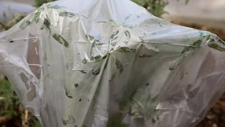 Transpiration Demo | NASA Jet Propulsion Laboratory (JPL)