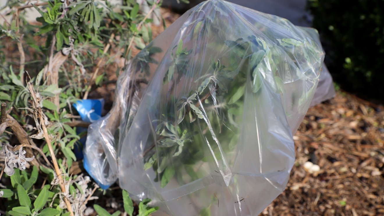 Transpiration Demo | NASA Jet Propulsion Laboratory (JPL)