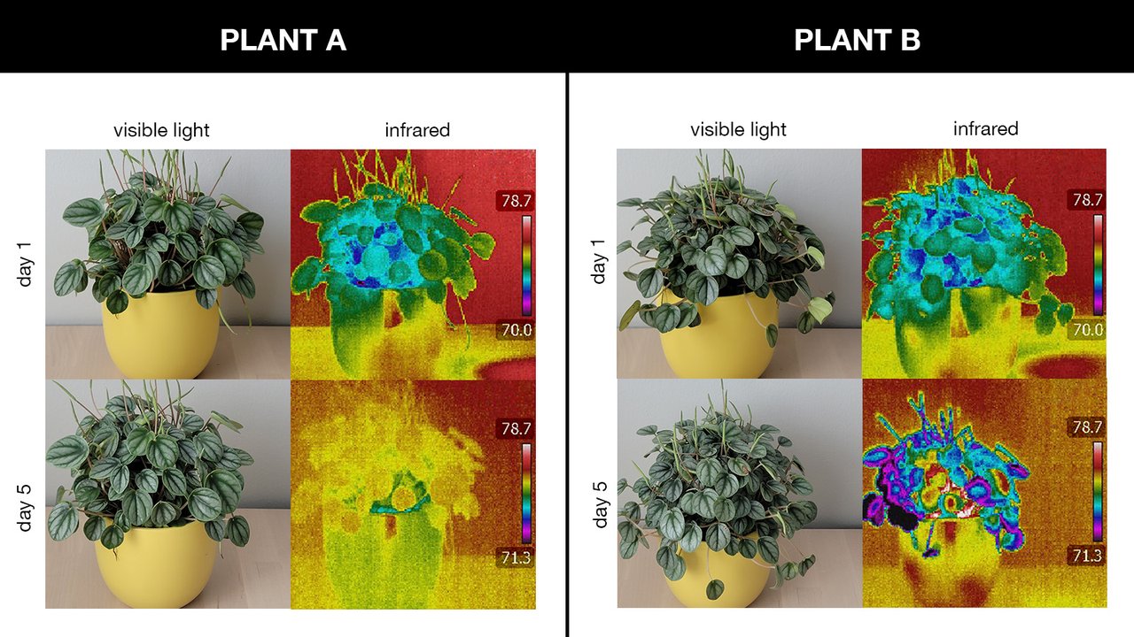 Transpiration Demo | NASA Jet Propulsion Laboratory (JPL)