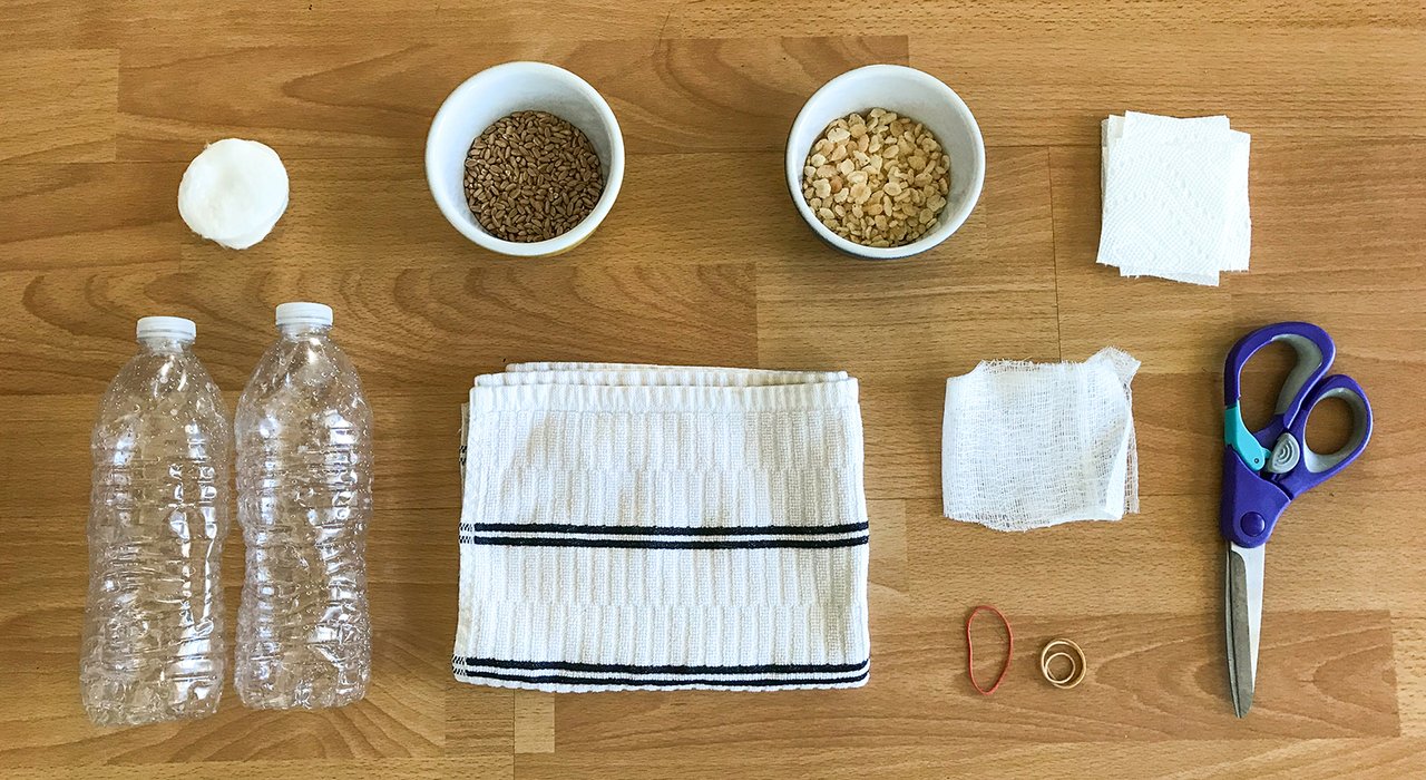 Make a Water Filter – Engineering Project | NASA JPL Education