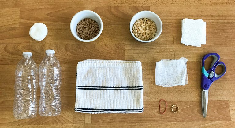 Make a Water Filter – Engineering Project | NASA JPL Education